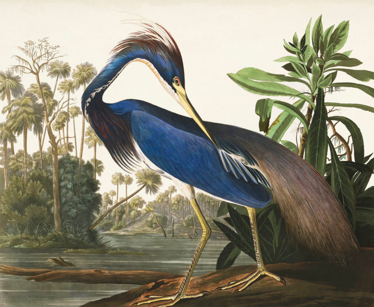 Reiger - Diamond Painting Planet